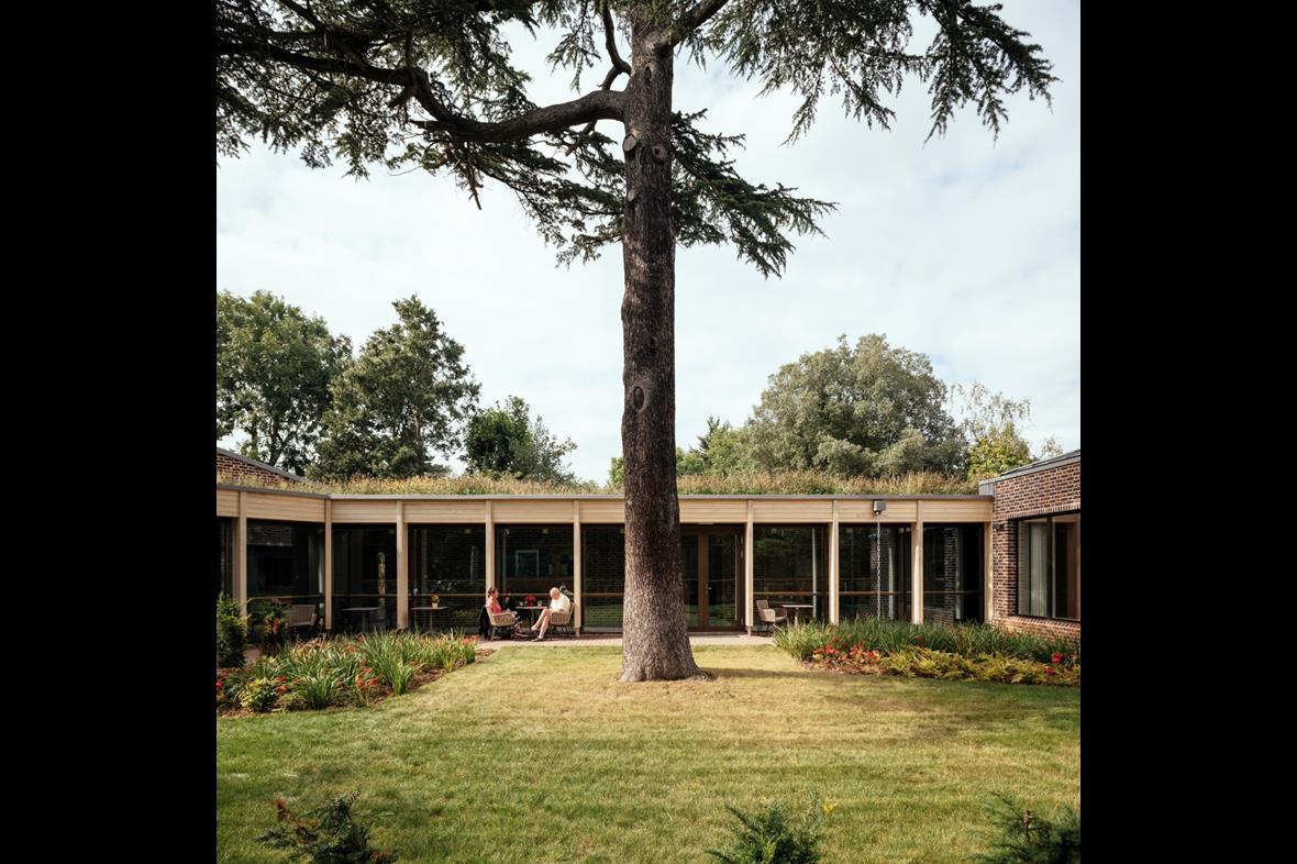 Alex Ely: ‘Architecture is so central to our culture - it’s a pity it ...